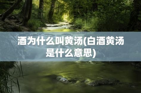 旅游线路 第1193页 黑龙江旅游网