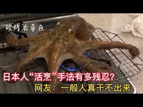 日本人活烹手法有多残忍烤盘碳烤活章鱼真是长见识了 YouTube