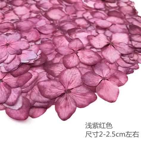 E554 Wholesale Preserved Dried Hydrangea Flower Phone Case Table Lamp Bookmark Diy Material