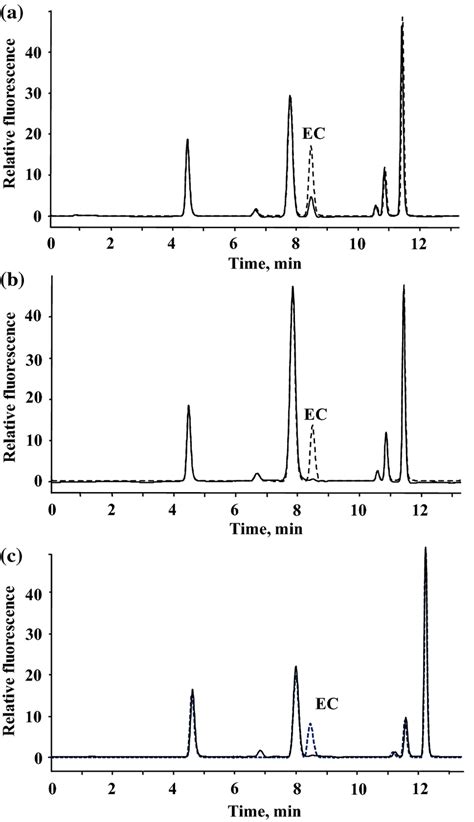 Typical HPLC FLD Chromatograms Obtained For Different Sample Types And Download Scientific