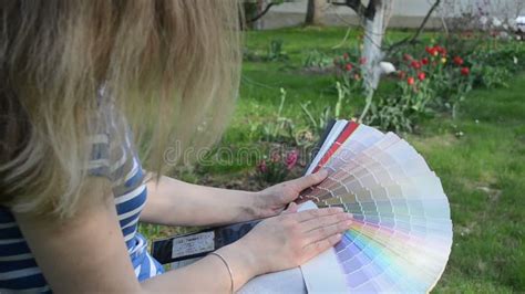 Color Stock Footage Videos Stock Videos