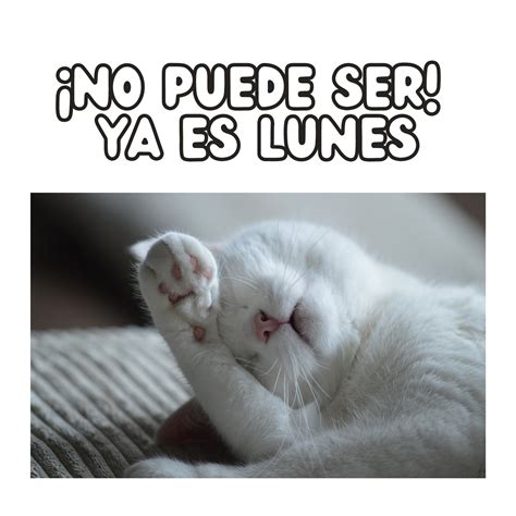 Imagenes Graciosas De Memes