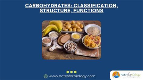 Carbohydrates Classification Structure Functions