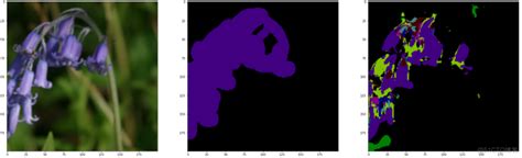 【深度学习】语义分割实验：unet网络 Msrc2数据集 Wx63046e916c0d9的技术博客 51cto博客