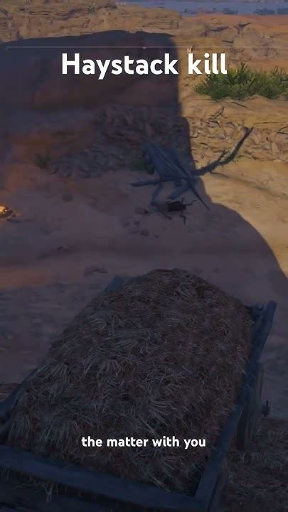 Assassins Creed Origins Haystack Hidden Kill Assassinscreed Gaming