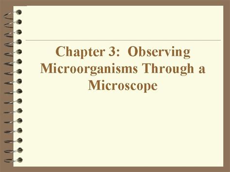Chapter Observing Microorganisms Through A Microscope Microscopy