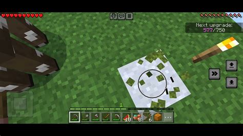 Looking For Interesting Thinngs Youtube