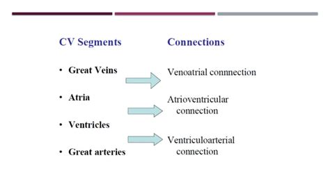 Segmental Analysis Of Cardiac Defects Ppt Pptx Heart And