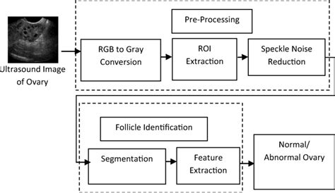 Block Diagram Of Automatic Detection Of Ovarian Follicles Download