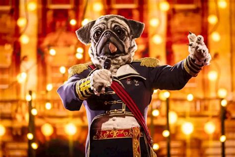 Kolonel Mops Uit ‘the Masked Singer Kan Weer Terug In Zijn Mand Wie