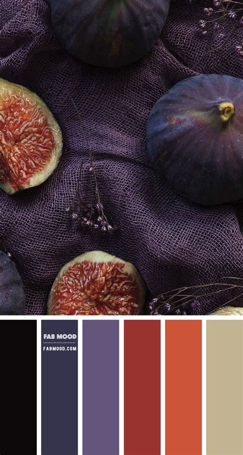Fig Colour Scheme Colour Palette 167 1 Fab Mood Colour Mood