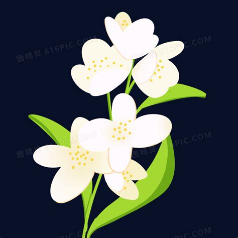 Png Vgpi Ly