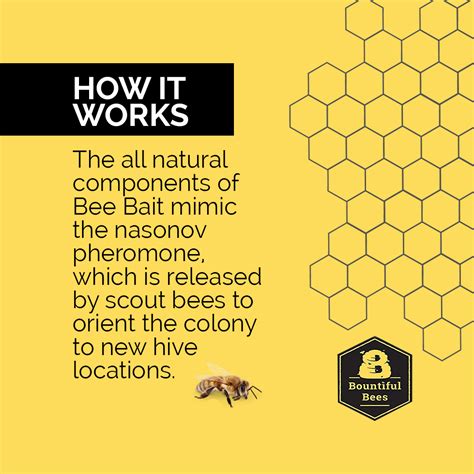 Bee Bait Swarm Lure Attract More Honey Bees To Your Bait Hive… Bountiful Bees