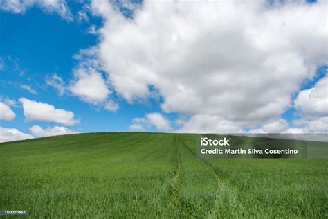 세인트 제임스의 길에 아름 다운 농업 풍경 라 리오하 스페인에서 Ciruena 사이 카미노 데 산티아고 0명에 대한 스톡 사진 및 기타 이미지 Istock