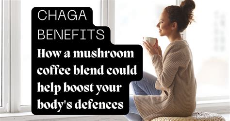 Immune System Booster Chaga Mushroom And Astragalus Coffee Mycology