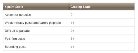 How To Grade Pulses Nursing Assessment Nursing Assessment Nurse