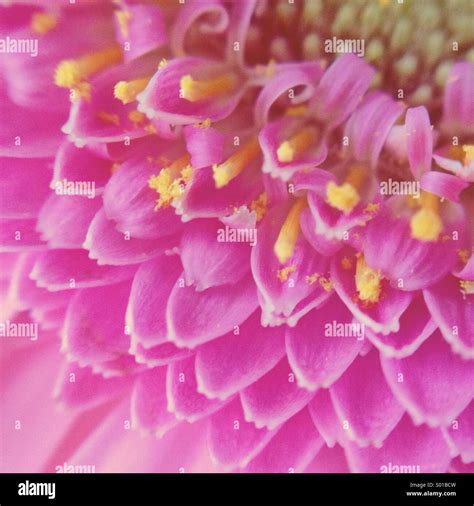 Color Me Beautiful Stock Photo Alamy