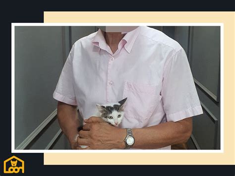 코리안숏헤어 앙이 책임분양 시베리안허스키 비숑분양가 포메 그레이하운드분양 광주애견샵 폼스키 유기견무료입양 위례강아지분양 빅토리아펫보호소 입양완료