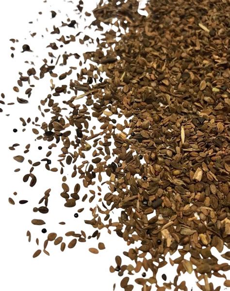 Facelia Błękitna 5kg Ceny I Opinie Ceneo Pl