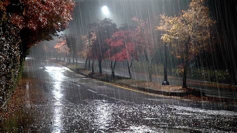 한적한 외곽도로에 내리는 부드러운 빗소리 불면증 극복에 딱 맞는 백색소음 Youtube