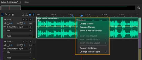 Clip Markers And Session Markers For Multitrack In Audition