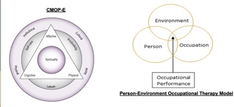 Canadian Model Of Occupational Performance