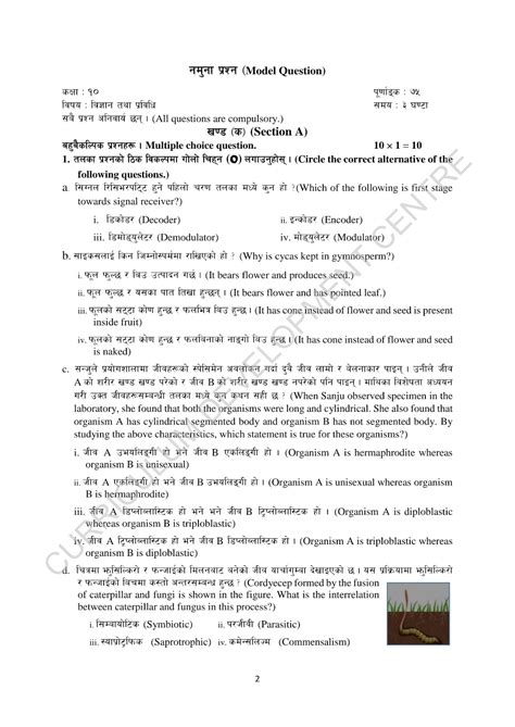 See Model Question Of Science And Technology 2080 Latest ~ Tapans Site