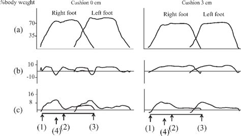 Ground Reaction Force During Walking A Vertical B Download Scientific Diagram
