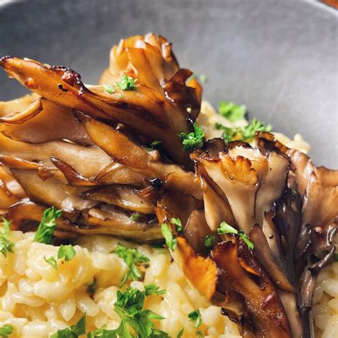 Maitake Mushroom Risotto Recipe At Greg Booth Blog