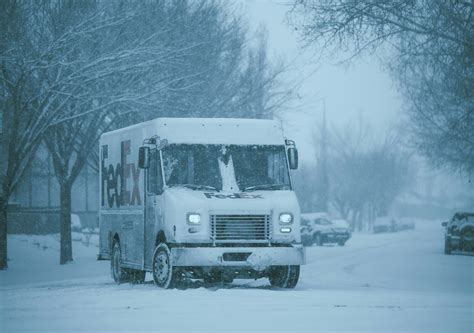 Receiving Dormant Plants Logees Plants