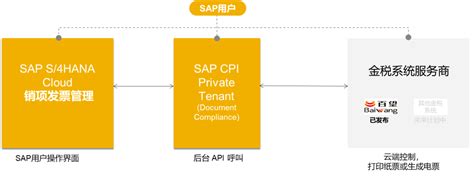 Sap最新本地化发布：s 4hana Cloud 金税直连 发票