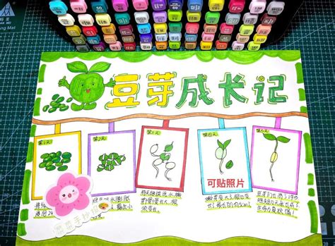 植物生长日记手抄报 植物生长日记手抄报可打印 色粉画