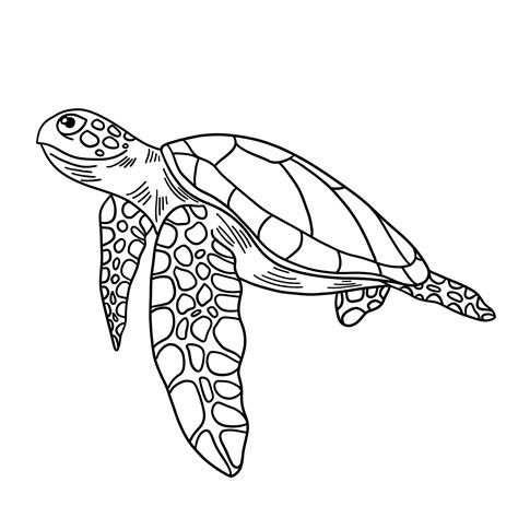 Turtle Outline Template