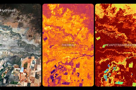 How Satellite Sourced Data Layers Can Identify Agronomic Issues The