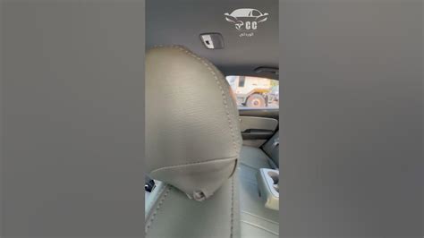 النترا الجمل 🐪🐪🐪 Youtube