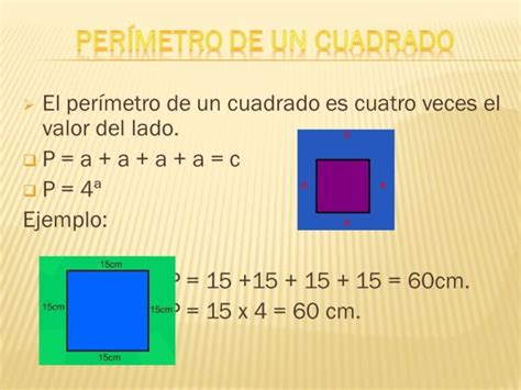 Partes Del Cuadrado Método Para Dividir En 6 Iguales