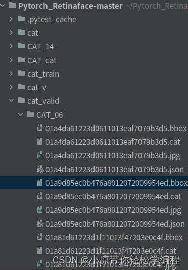 获取指定文件夹下所有的同种类型文档的名字（python）python 按文件名顺序获取指定路径下指定类型的文件名 Csdn博客