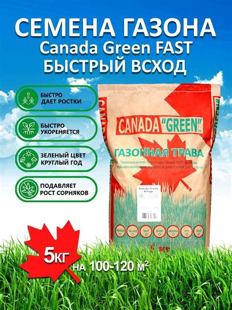 Семена газонной травы — купить по низкой цене на Яндекс Маркете