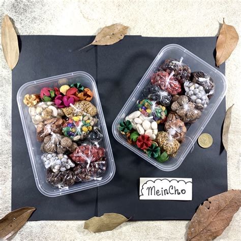 Jual Paket Kolase Biji Aneka Biji Bijian Kerajinan Tangan Bahan Prakarya Properti Foto Dekorasi