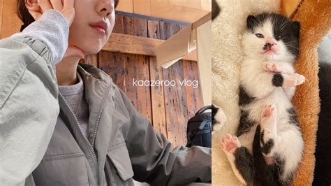 Vlog 과제지옥 일상ㅣ대학생 브이로그ㅣ강아지 고양이 자취 일상ㅣ데이트 브이로그ㅣ아기 고양이 눈 뜬 날 🐈‍⬛🐾 Youtube