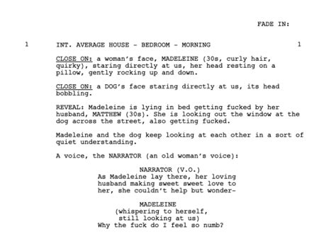 Anatomy Of A Great Short Script The Commitment