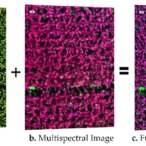 K Means Isosceles Cluster Swarm Of Uavs Download Scientific Diagram