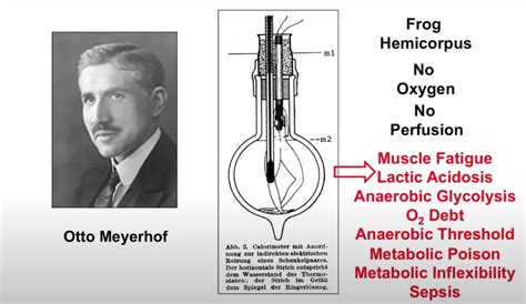 312 A Masterclass In Lactate Its Critical Role As Metabolic Fuel