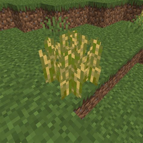 Realistic Wheat Minecraft Mods CurseForge