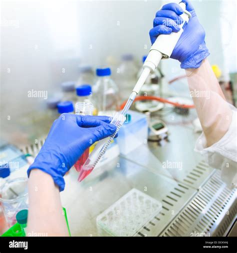 Successful Lab Experiment Hi Res Stock Photography And Images Alamy