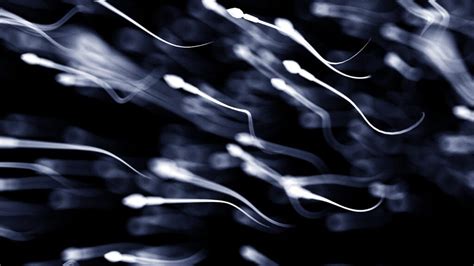 Erectile Dysfunction And Low Sperm Count Treatment And Getting Pregnant