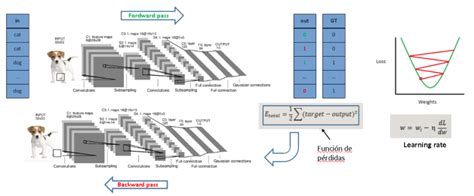 Arquitectura Típica De Una Red Neuronal Convolucional
