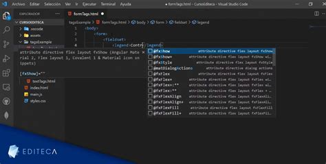 Curso Conceptos Html Y Javascript Editeca