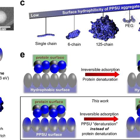 Atomistic Explicit Solvent Simulations Confirm The Interfacial