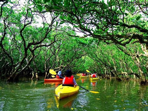 Best Outdoor Activities In Japan For 2026 Veltra Tours Activities